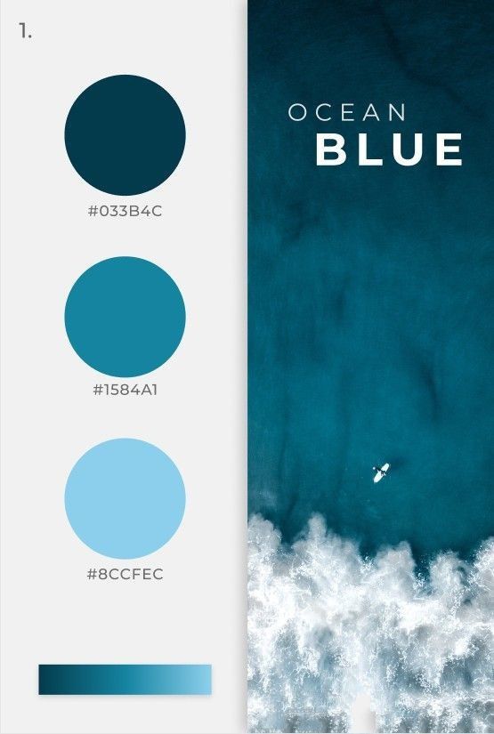 Color Psychology in Web Design - dima